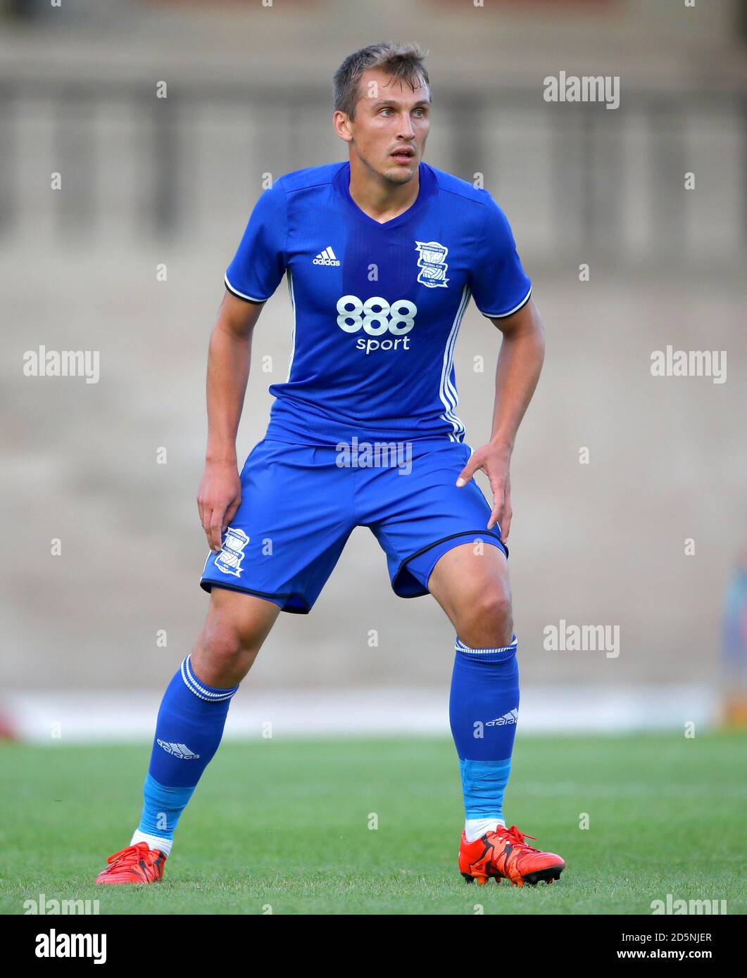 Tesche hi-res stock photography and images - Alamy