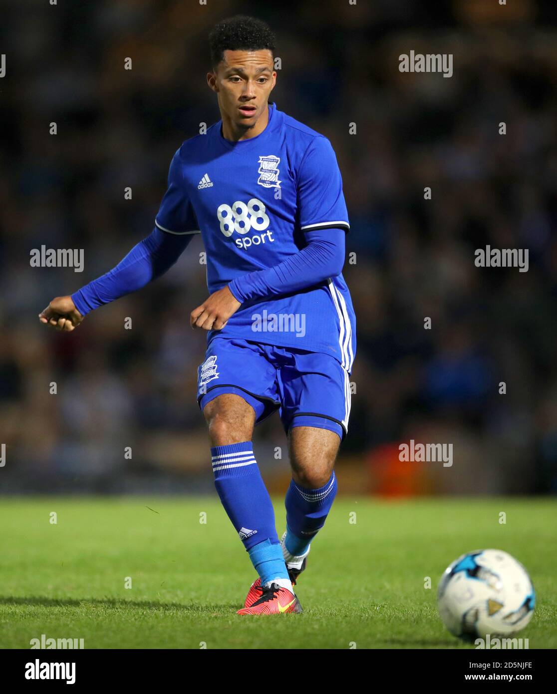 Josh cogley hi-res stock photography and images - Alamy