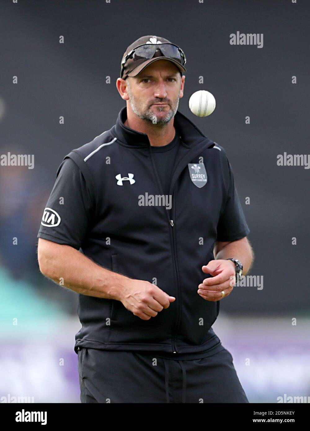 Surrey Head Coach Michael Di Venuto Stock Photo - Alamy