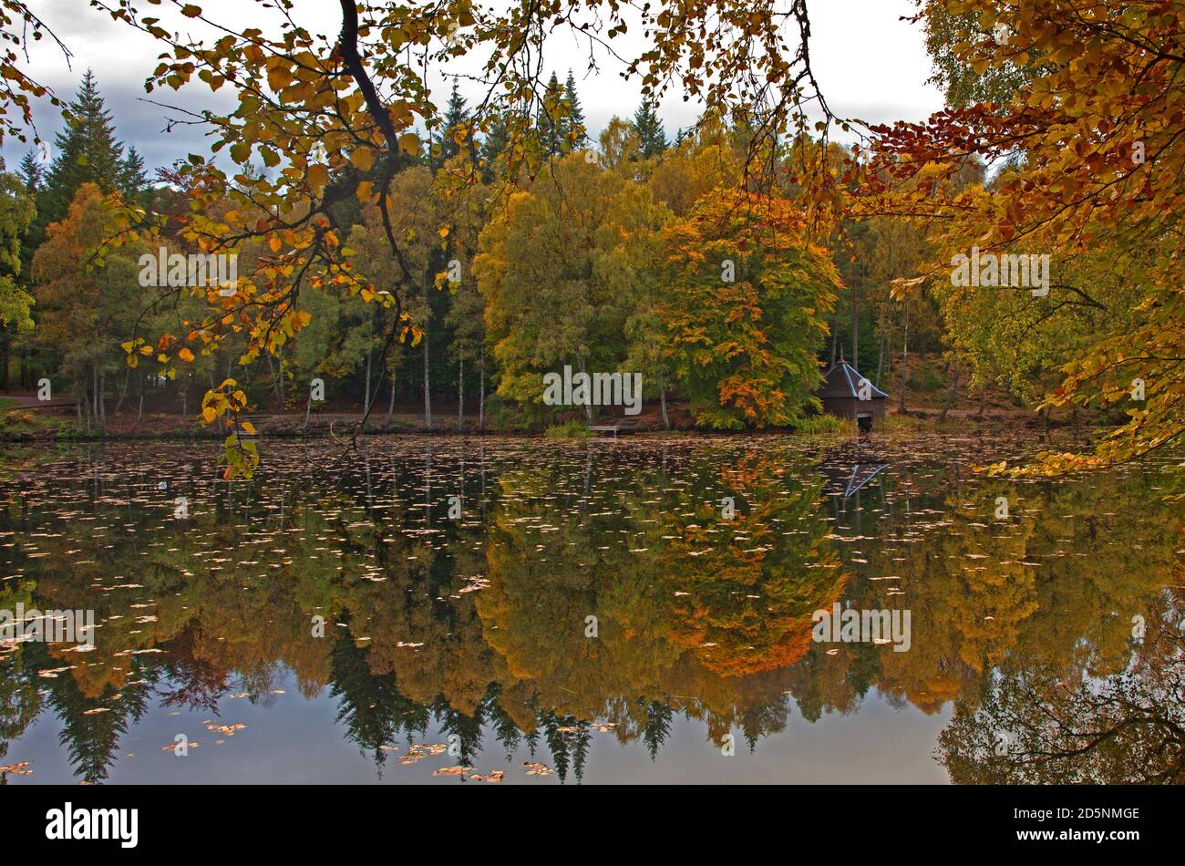 Perthshire, Scotland, UK, Loch Dunmore. 14 October 2020. Autumn foliage ...