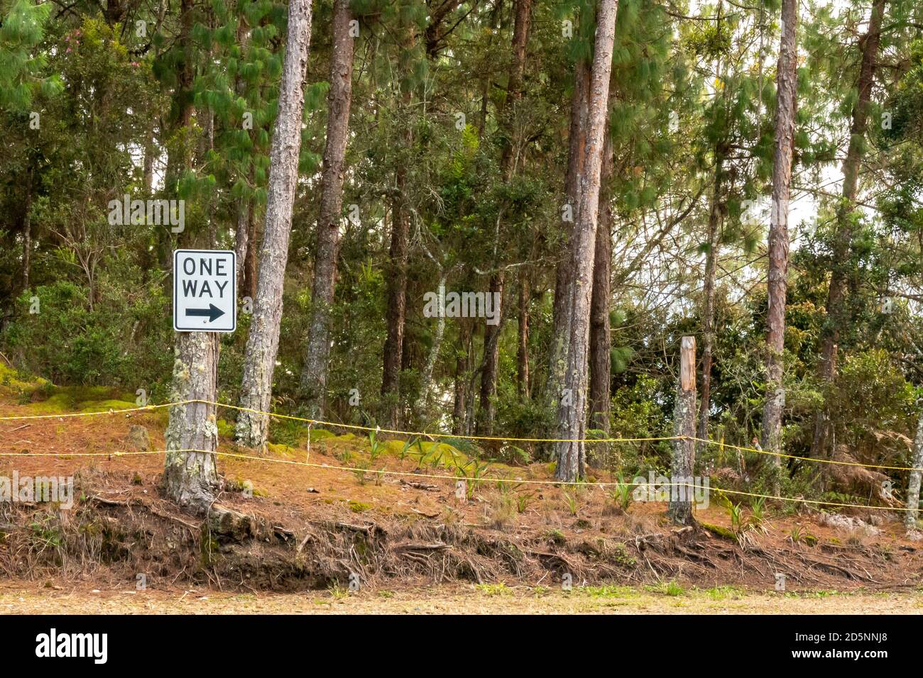 Beautiful landscape way vector hi-res stock photography and images - Alamy