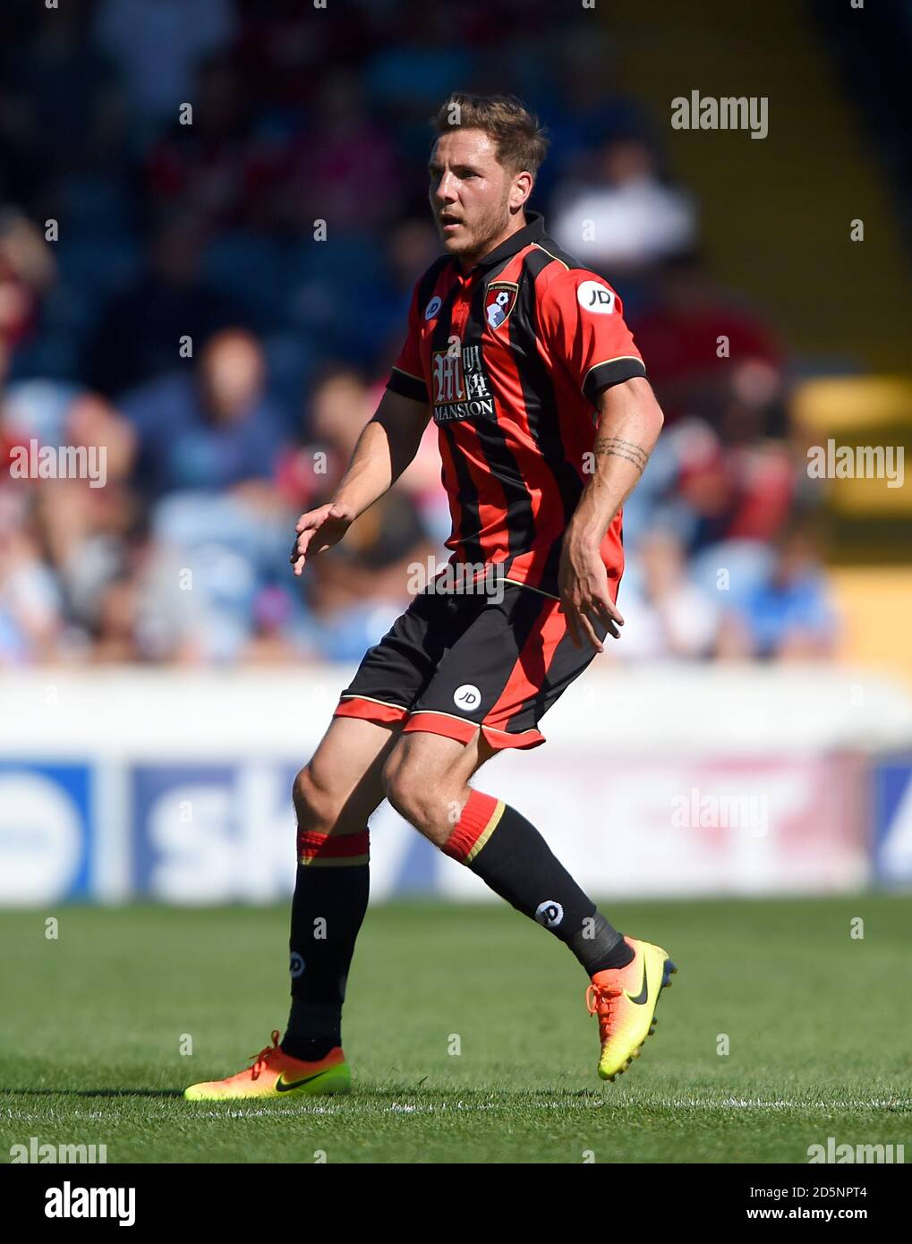 Steve Cook, AFC Bournemouth Stock Photo - Alamy