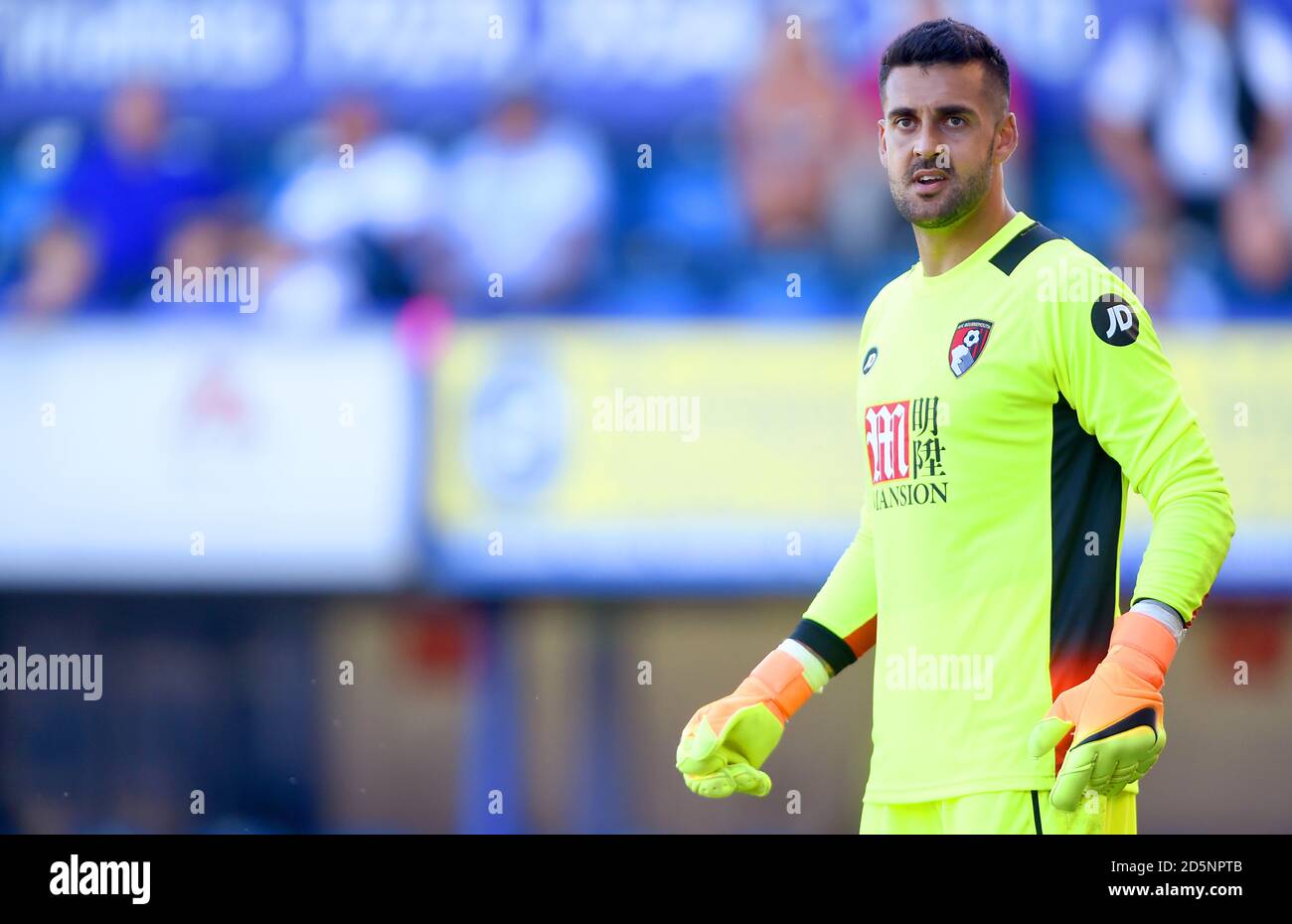 AFC Bournemouth goalkeeper Adam Federici Stock Photo - Alamy