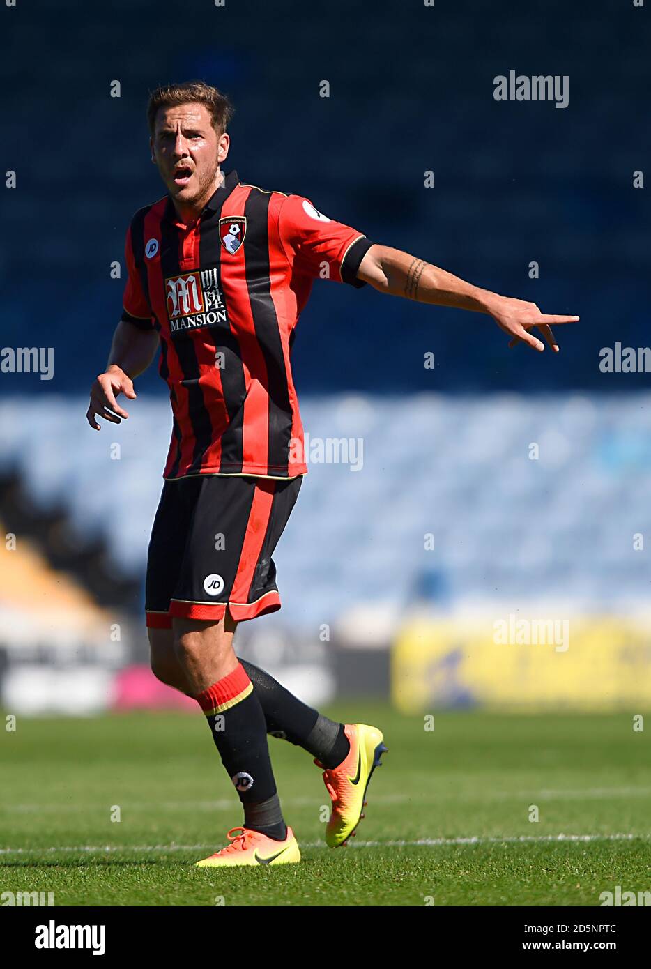 Steve cook of bournemouth hi-res stock photography and images - Alamy