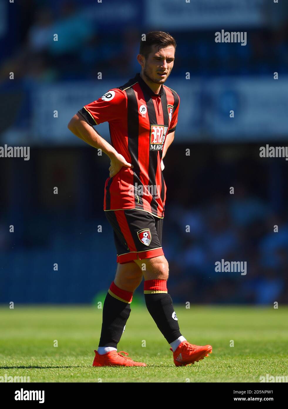 Lewis cook bournemouth hi-res stock photography and images - Alamy