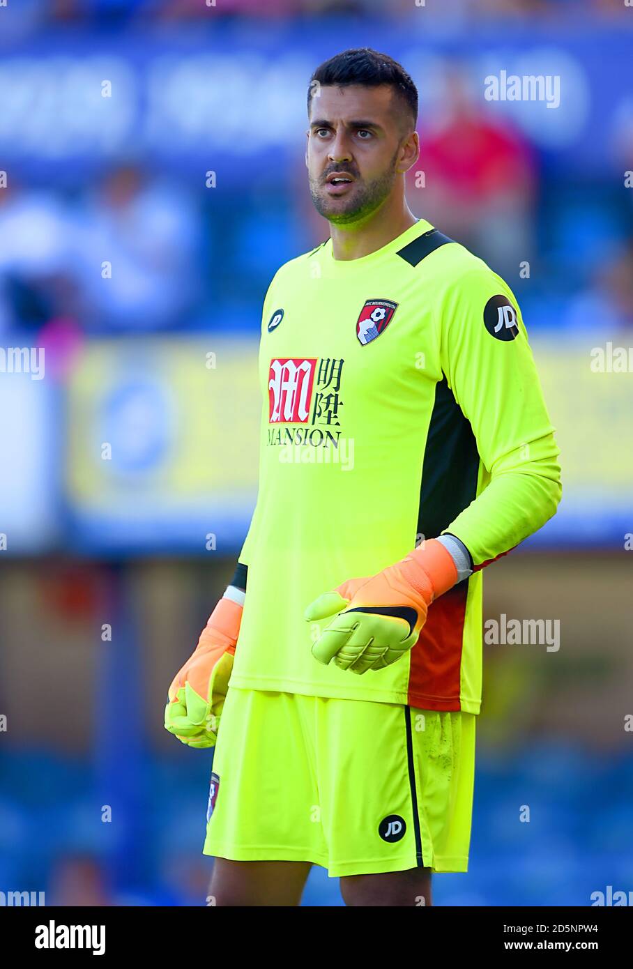 AFC Bournemouth goalkeeper Adam Federici Stock Photo - Alamy