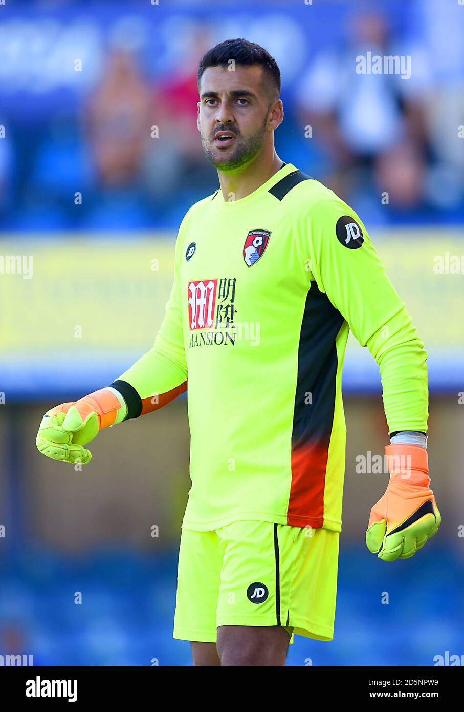 AFC Bournemouth goalkeeper Adam Federici Stock Photo - Alamy