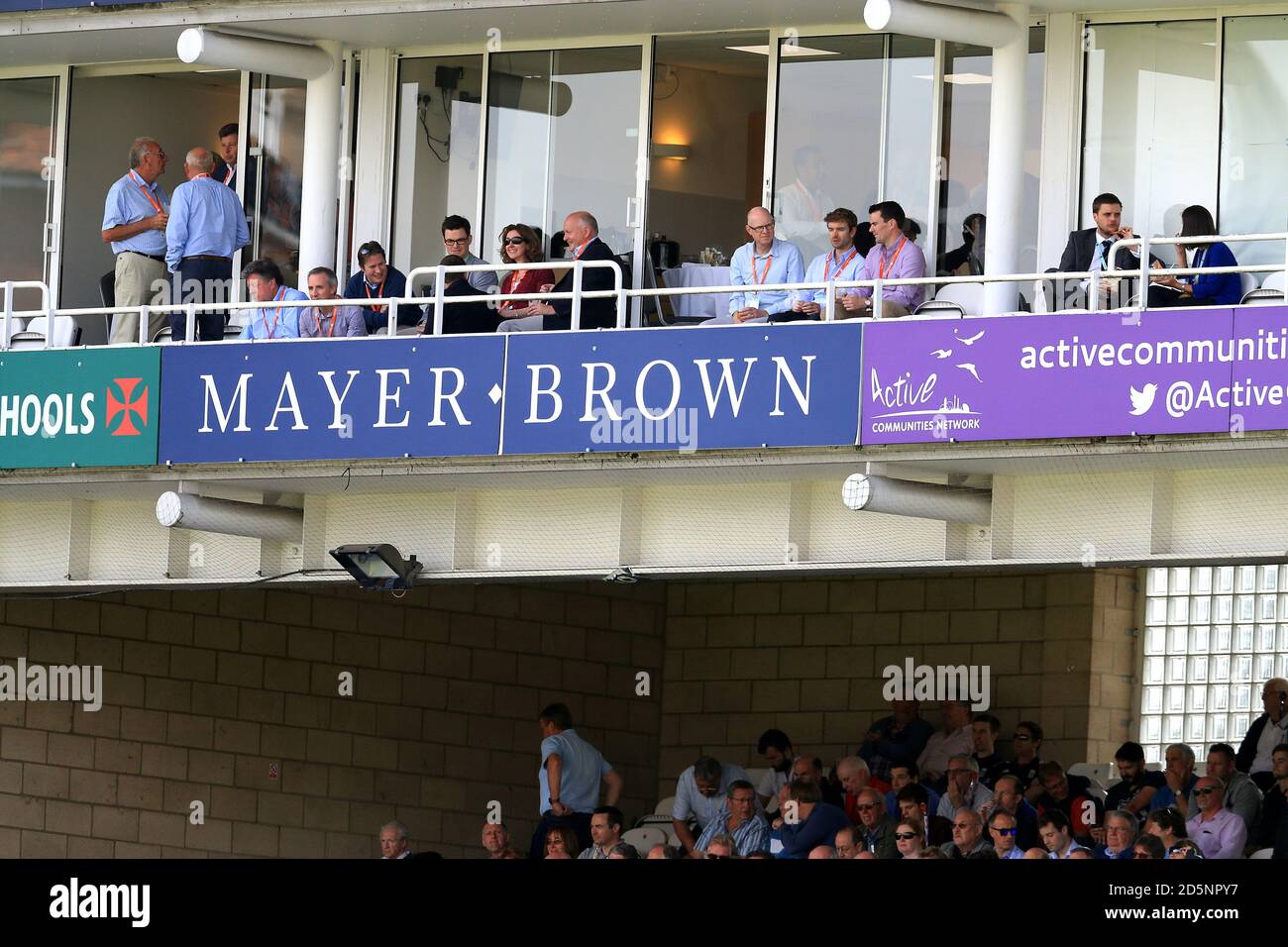 Cricket fans watch the action at the Kia Oval Stock Photo - Alamy