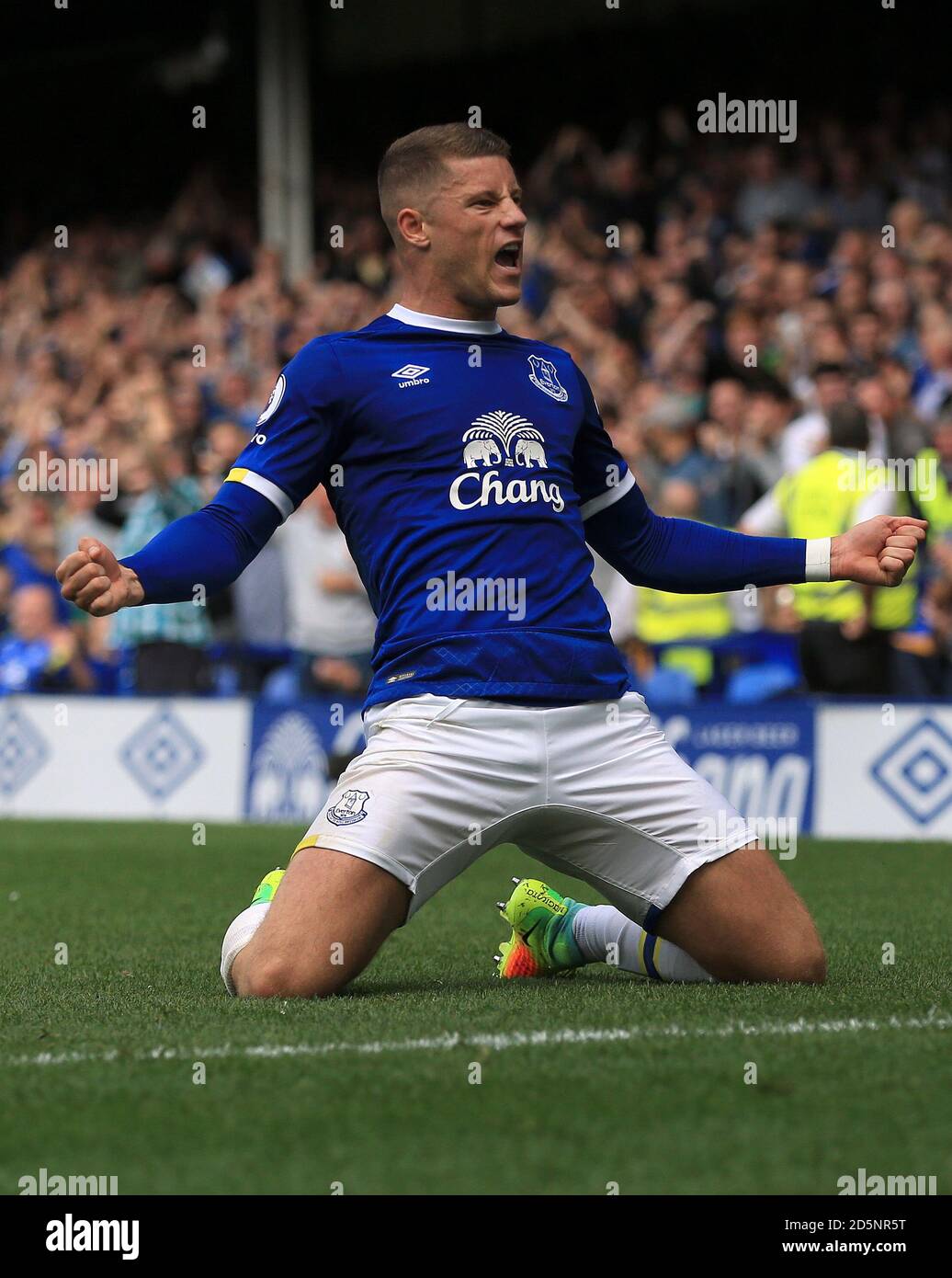 Everton's Ross Barkley celebrates after he scores his sides first goal ...