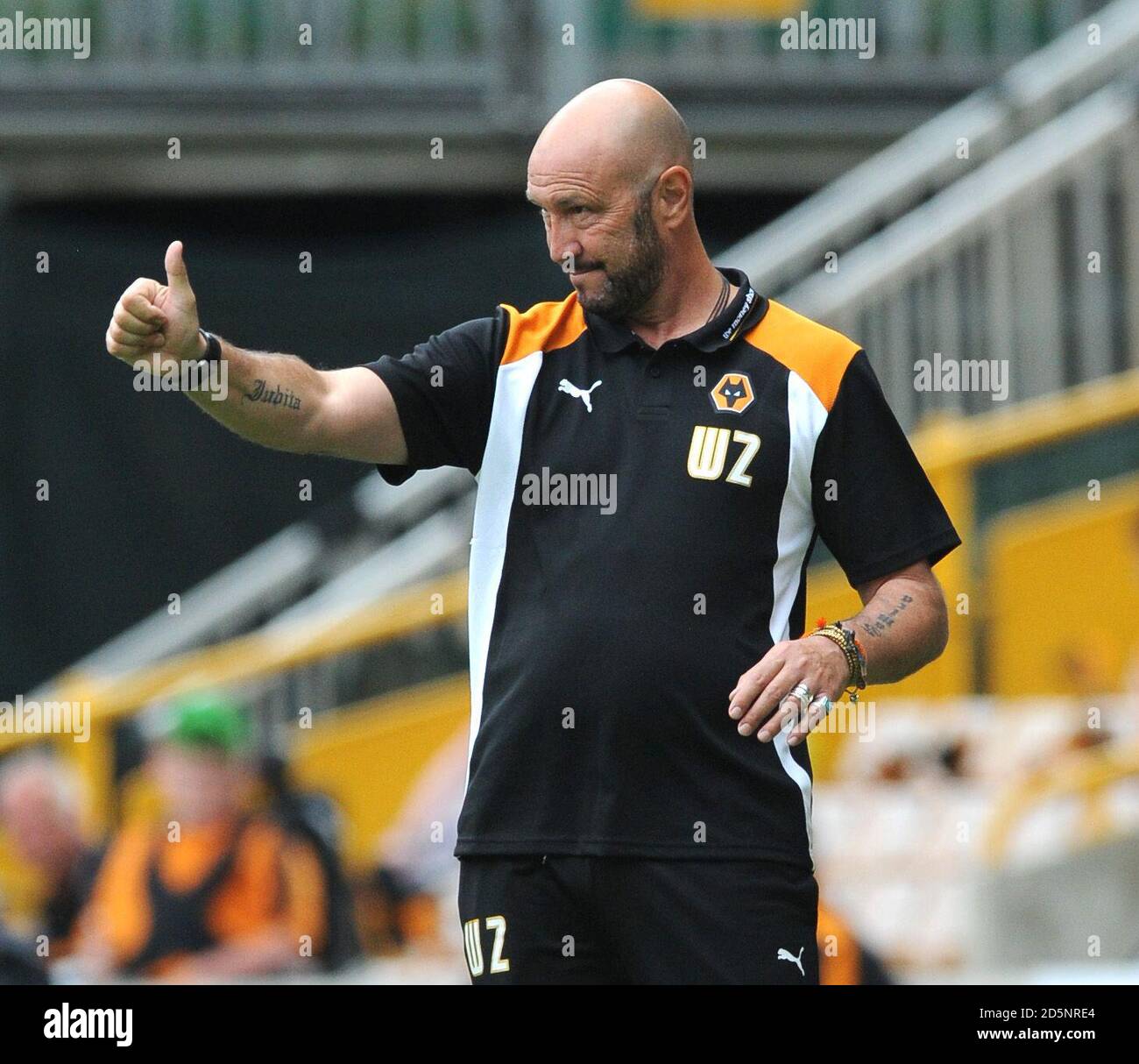 Wolverhampton manager Walter Zenga Stock Photo - Alamy