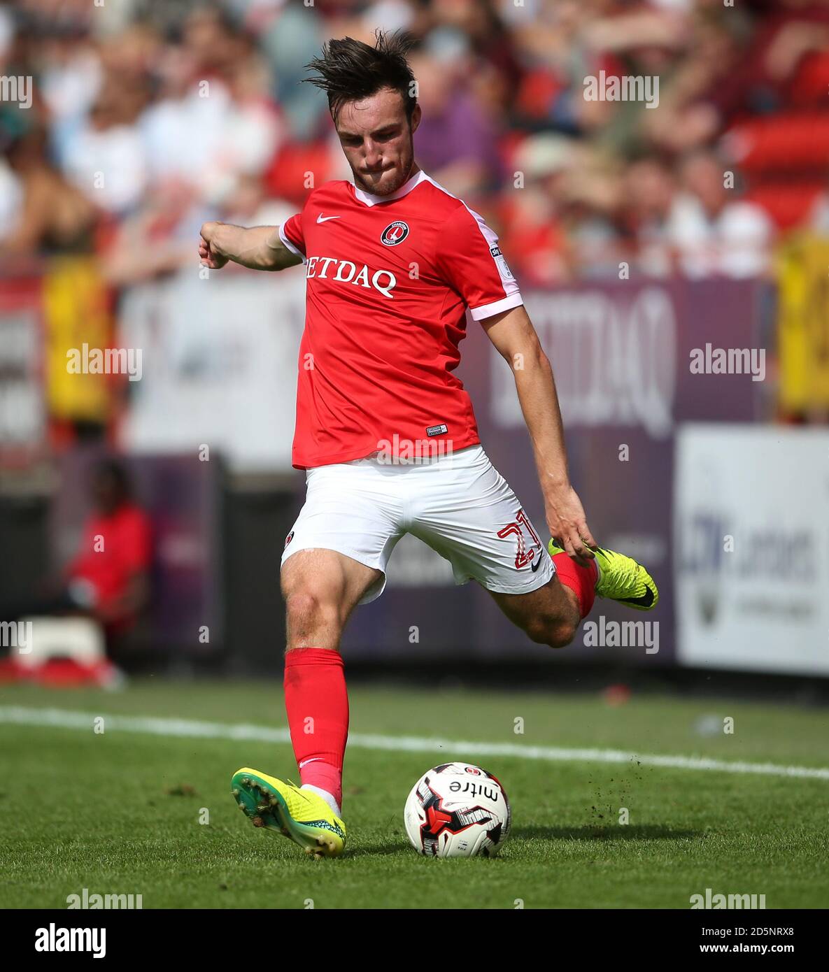 Football charlton athletics morgan fox full length hi-res stock ...