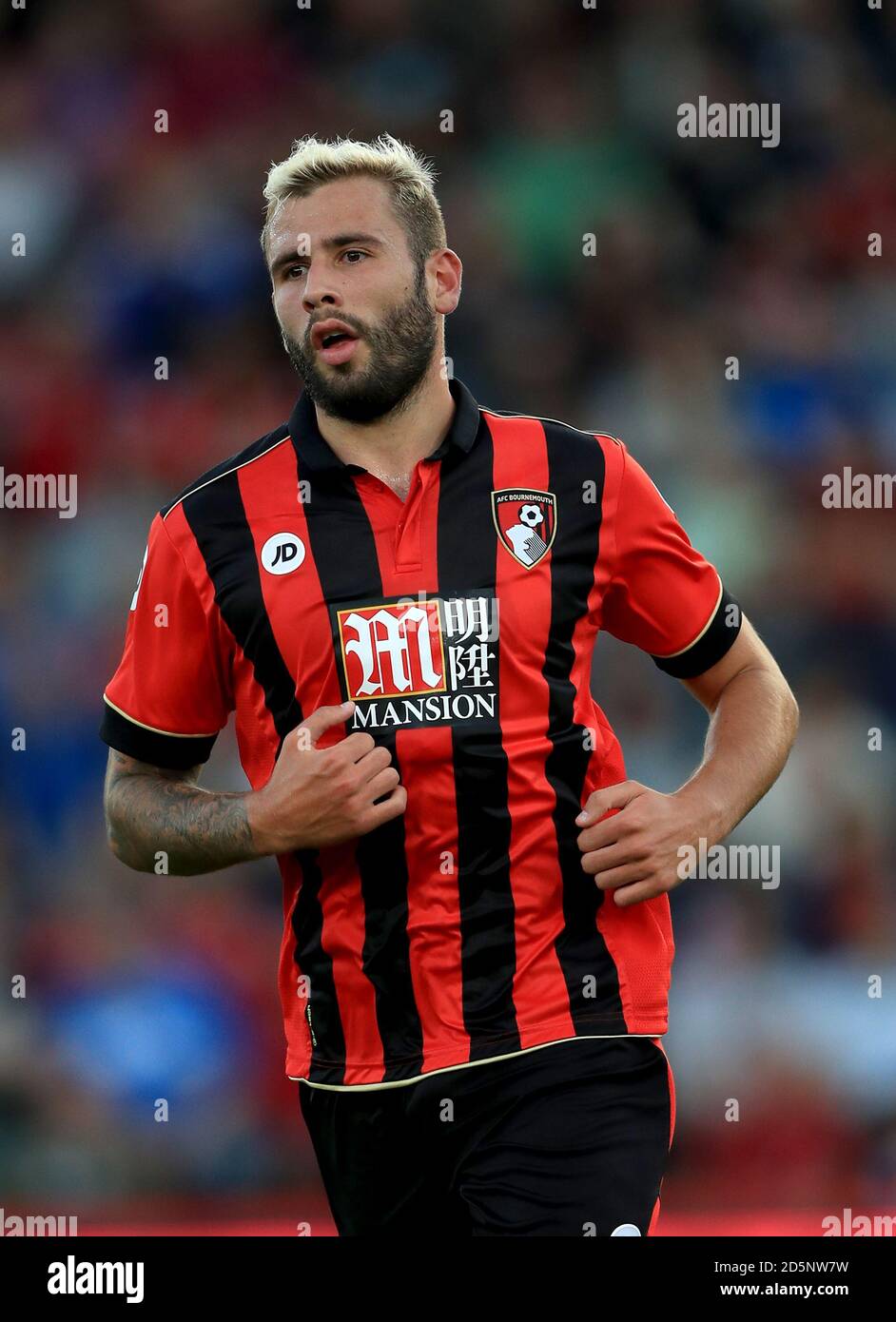 Afc bournemouths steve cook hi-res stock photography and images - Alamy