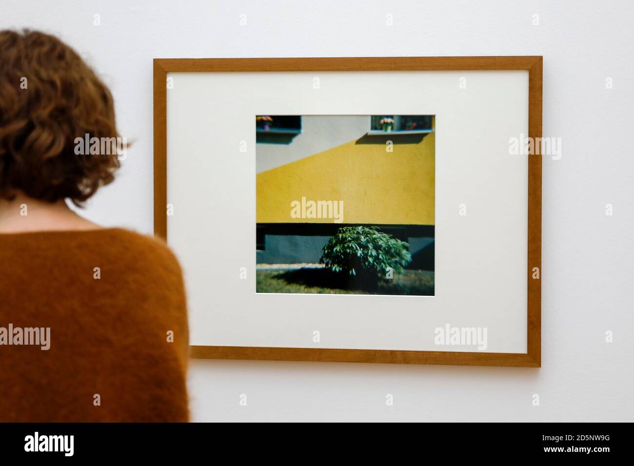 Besucher betrachten das Werk "Yellow Wall" von Amy Blakemore in der ...