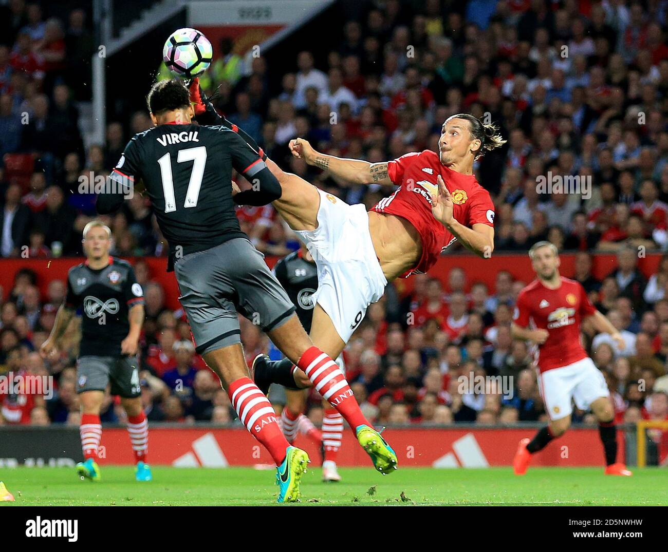 Manchester United's Zlatan Ibrahimovic in action Stock Photo - Alamy
