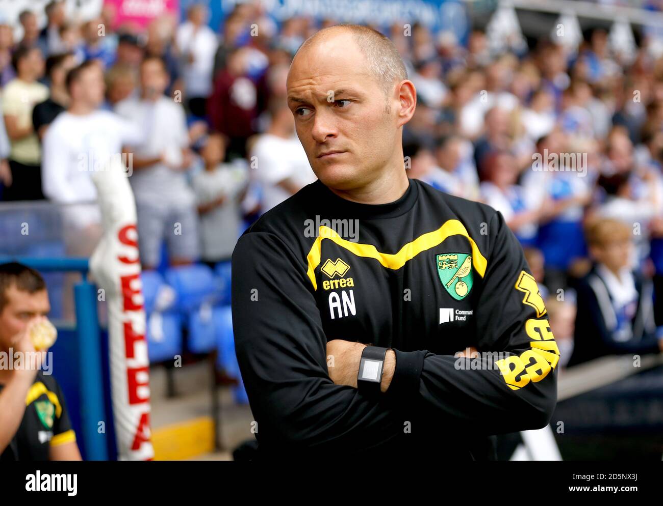 Norwich City manager Alex Neil before the game Stock Photo - Alamy
