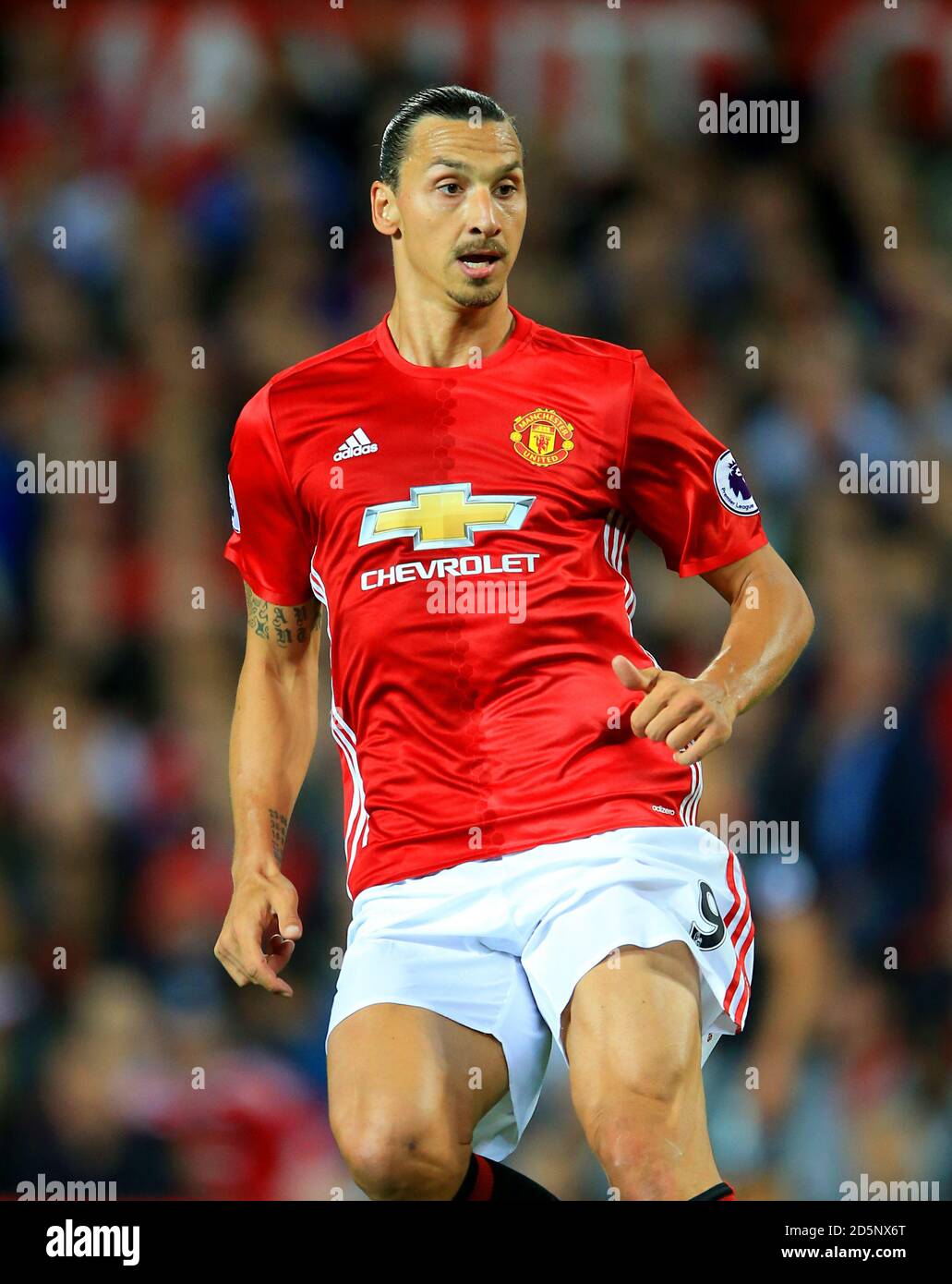 Zlatan Ibrahimovic, Manchester United Stock Photo - Alamy