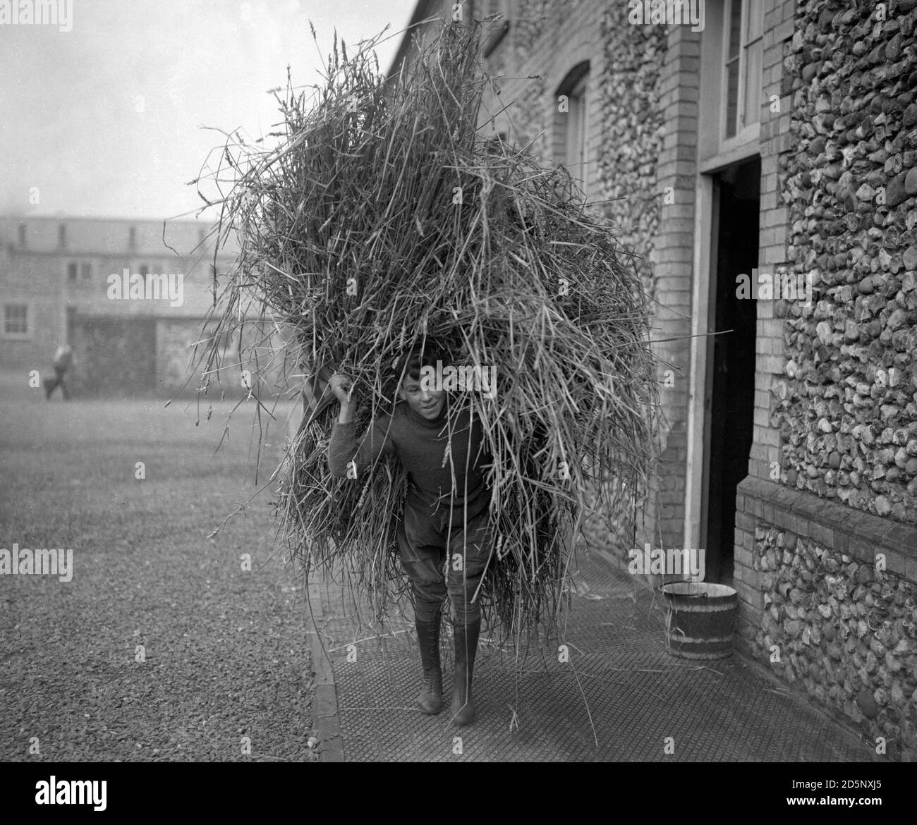 Boy with horse in stable Black and White Stock Photos & Images - Alamy