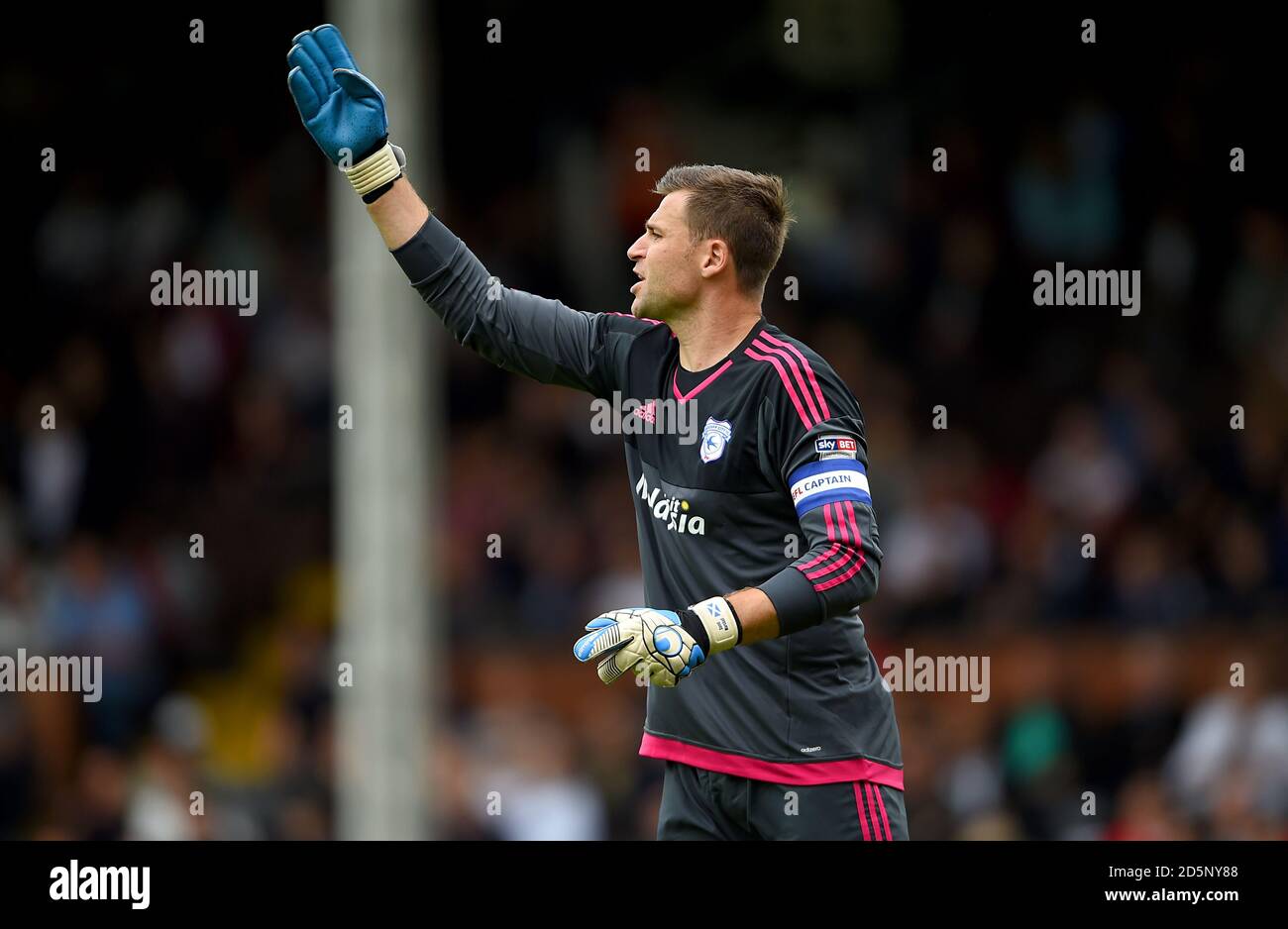 Cardiff City goalkeeper David Marshall Stock Photo - Alamy