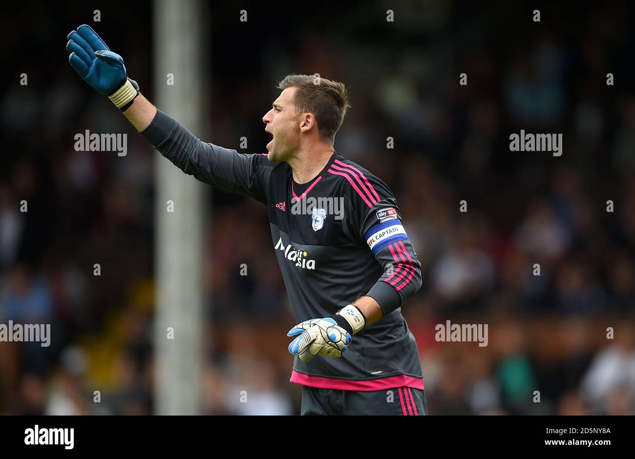 Cardiff city goalkeeper david marshall hi-res stock photography and ...
