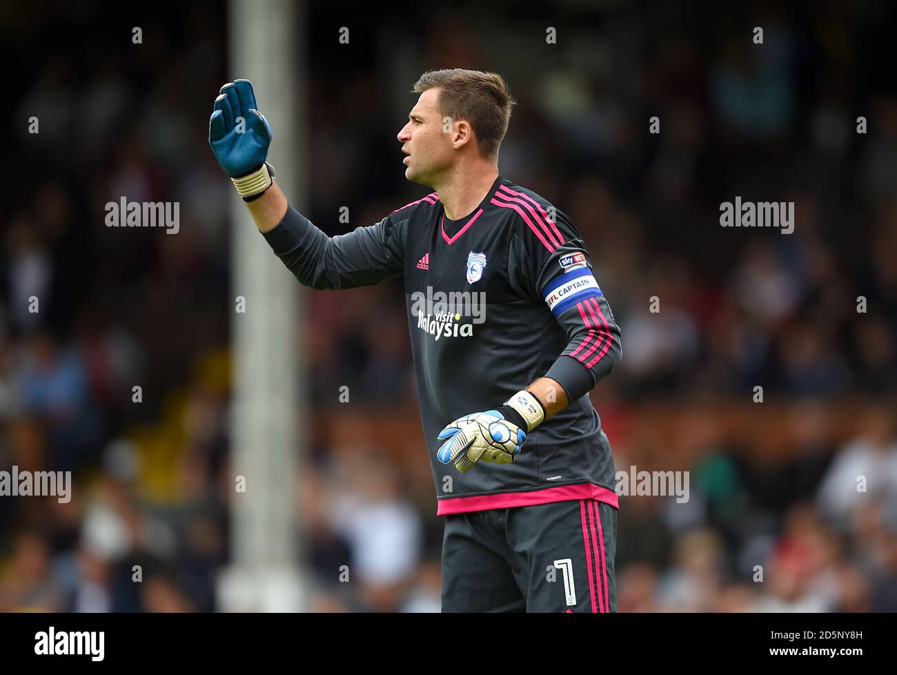 Cardiff City goalkeeper David Marshall Stock Photo - Alamy