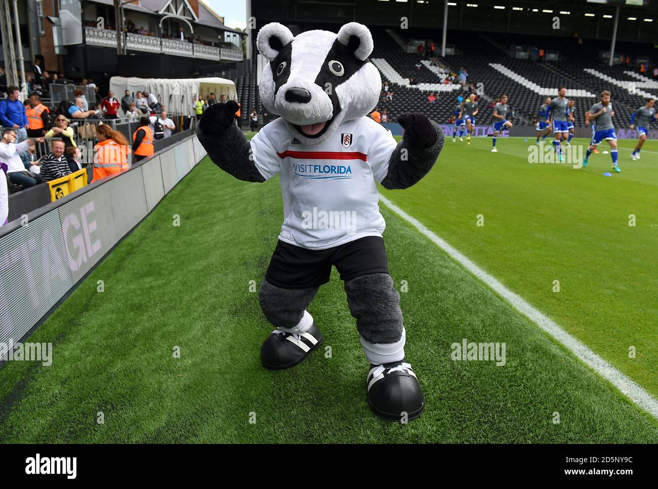 Fulham Mascot Billy The Badger Stock Photo - Alamy