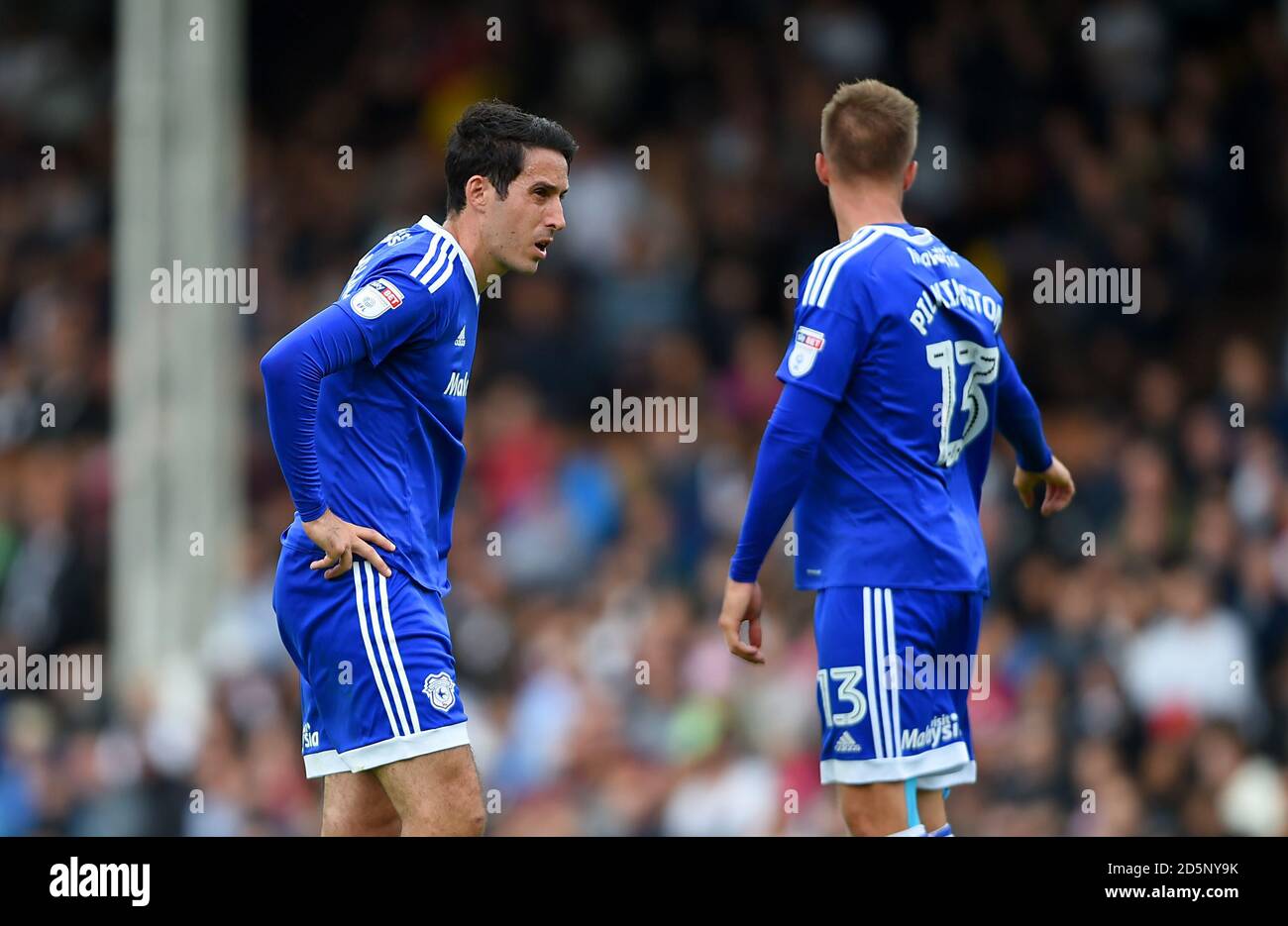 Anthony pilkington cardiff city hi-res stock photography and images - Alamy