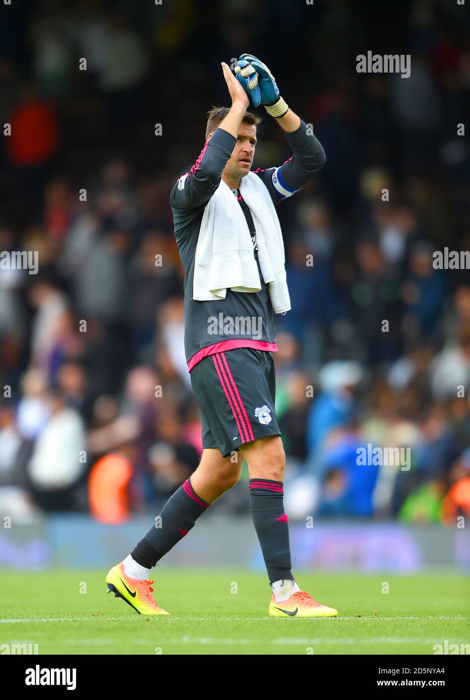 David Marshall, Cardiff City Stock Photo - Alamy