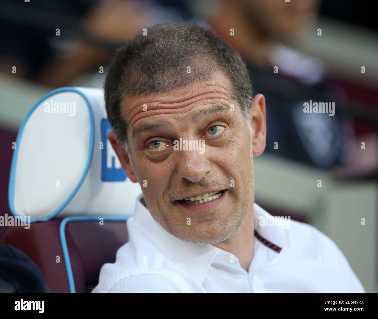 Slaven bilic portrait hi-res stock photography and images - Alamy