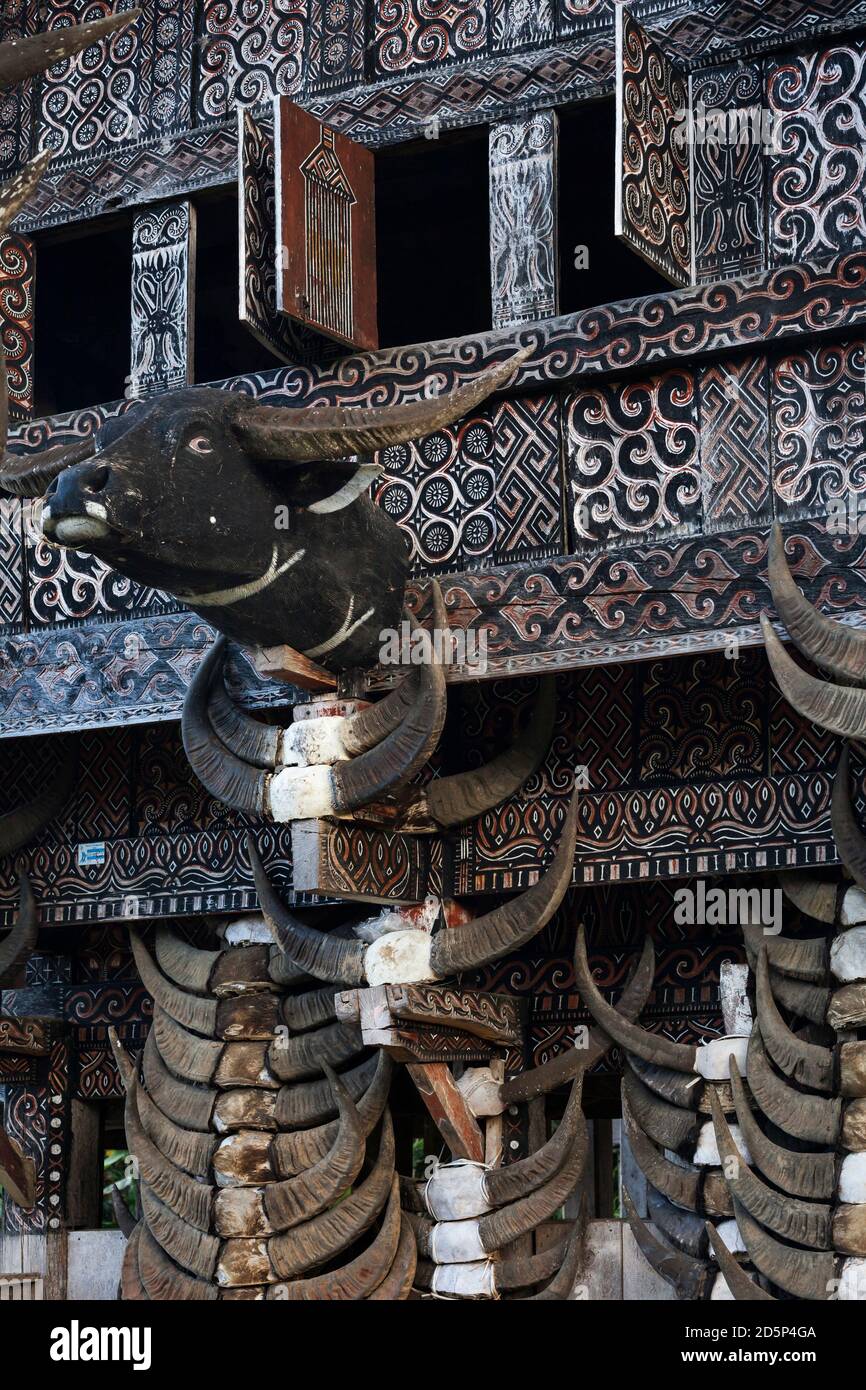 Real horns hi-res stock photography and images - Alamy