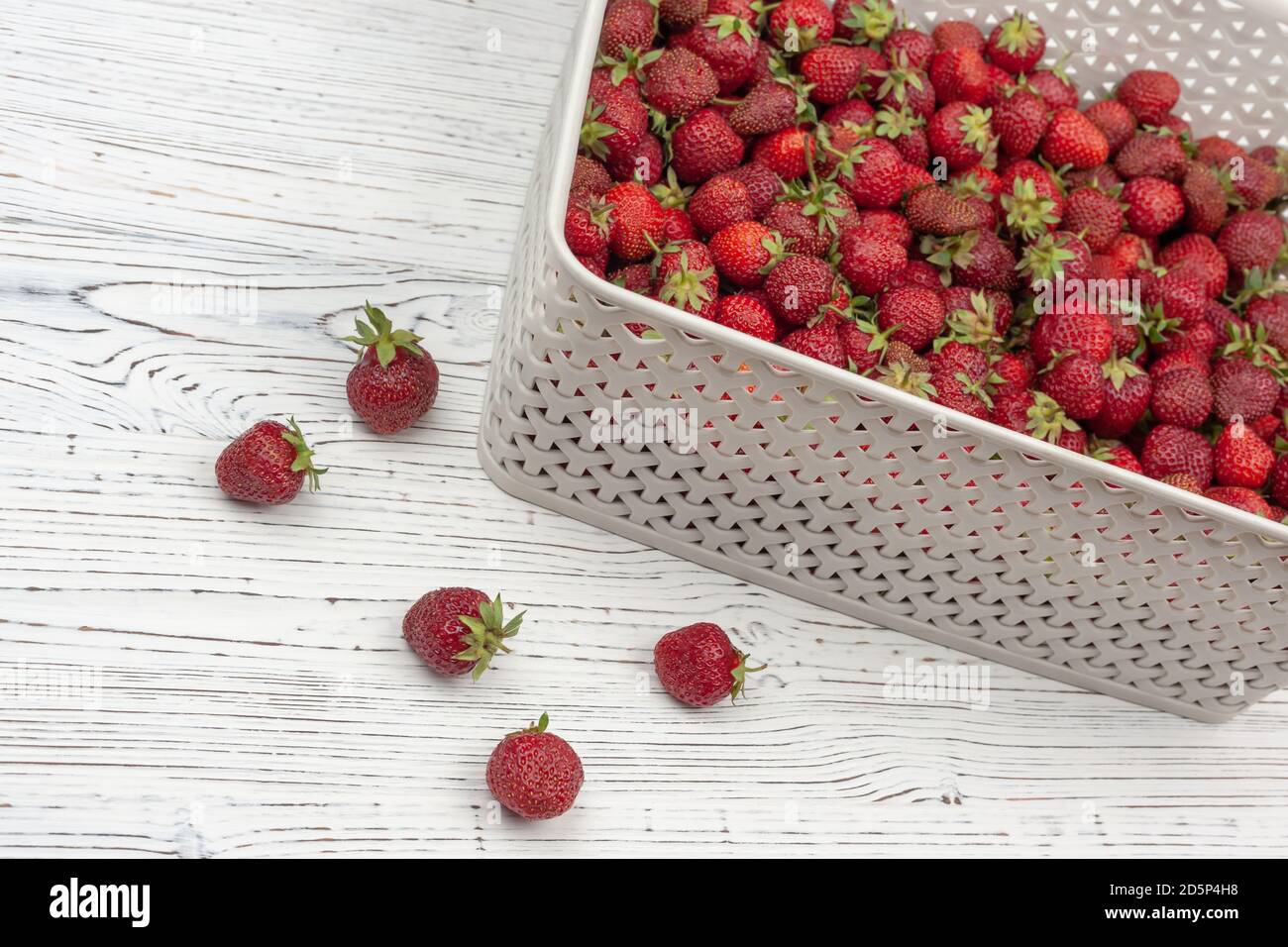Berry storage hi-res stock photography and images - Alamy