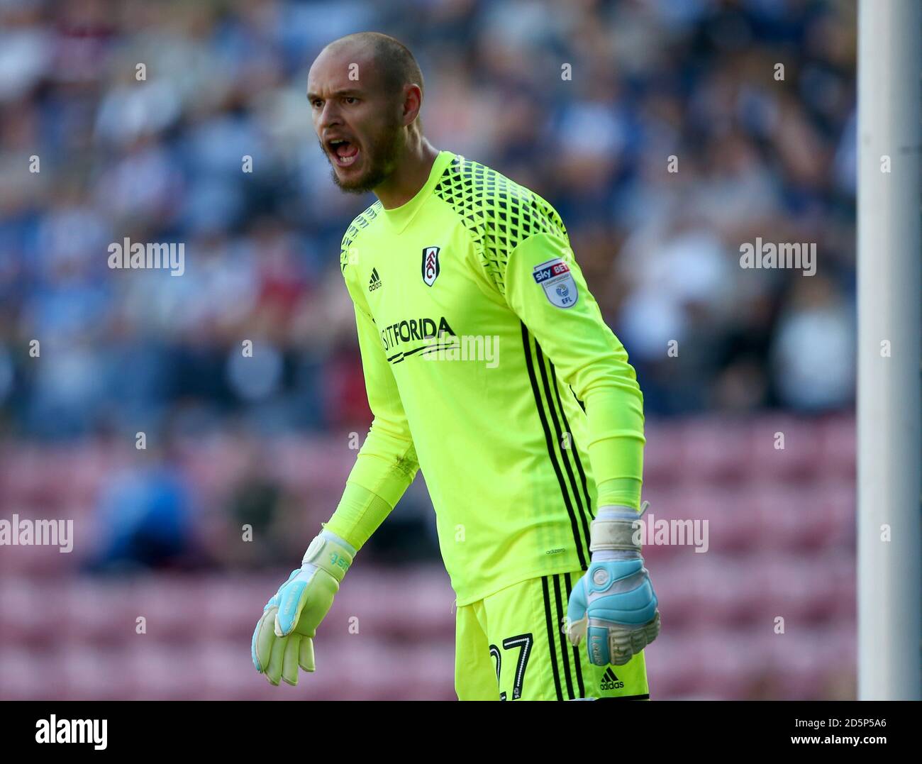 David button goalkeeper hi-res stock photography and images - Alamy