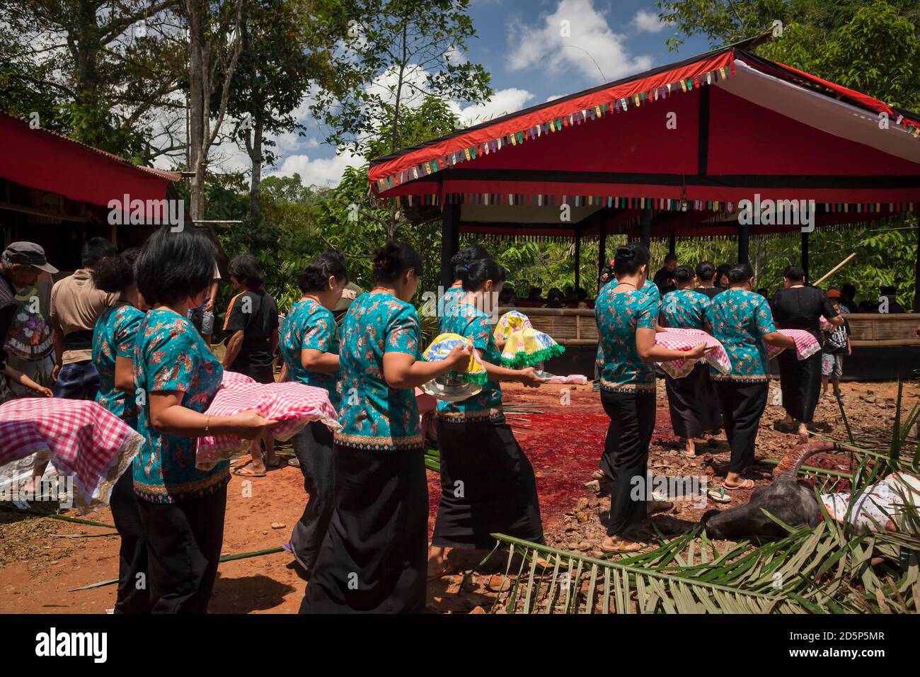 Offering toraja hi-res stock photography and images - Alamy