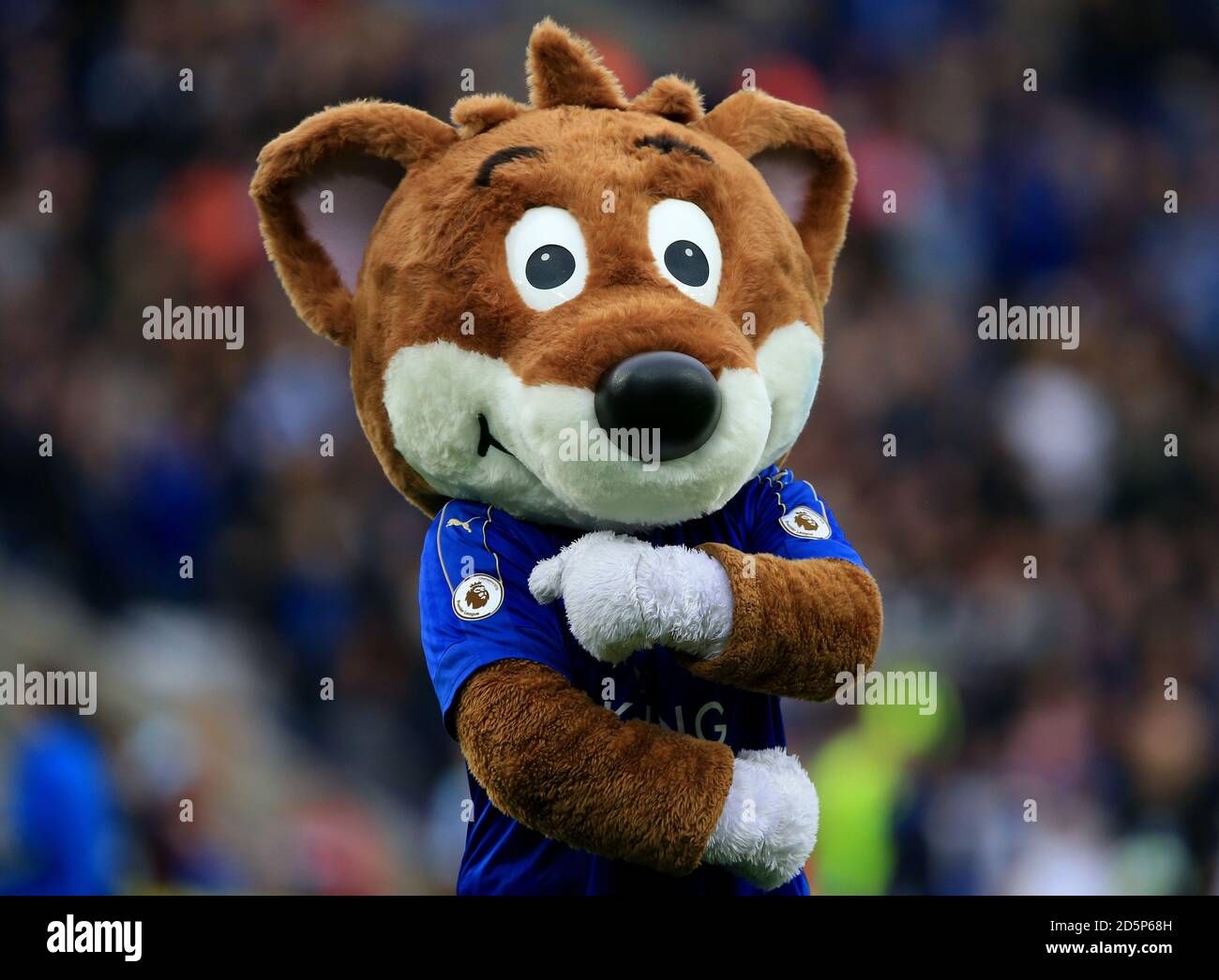 Leicester city mascot hi-res stock photography and images - Alamy