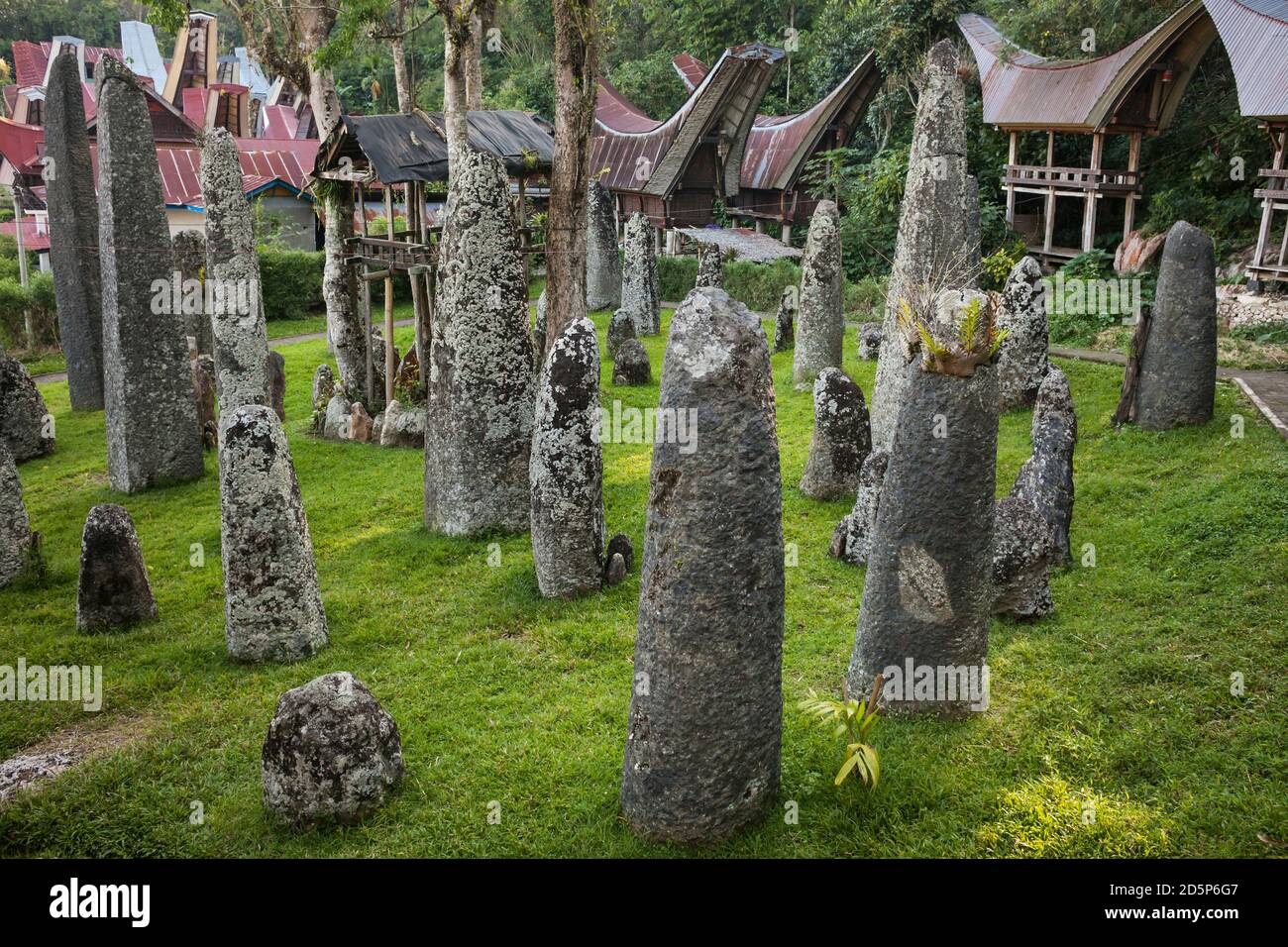 Toraja burial tradition hi-res stock photography and images - Alamy