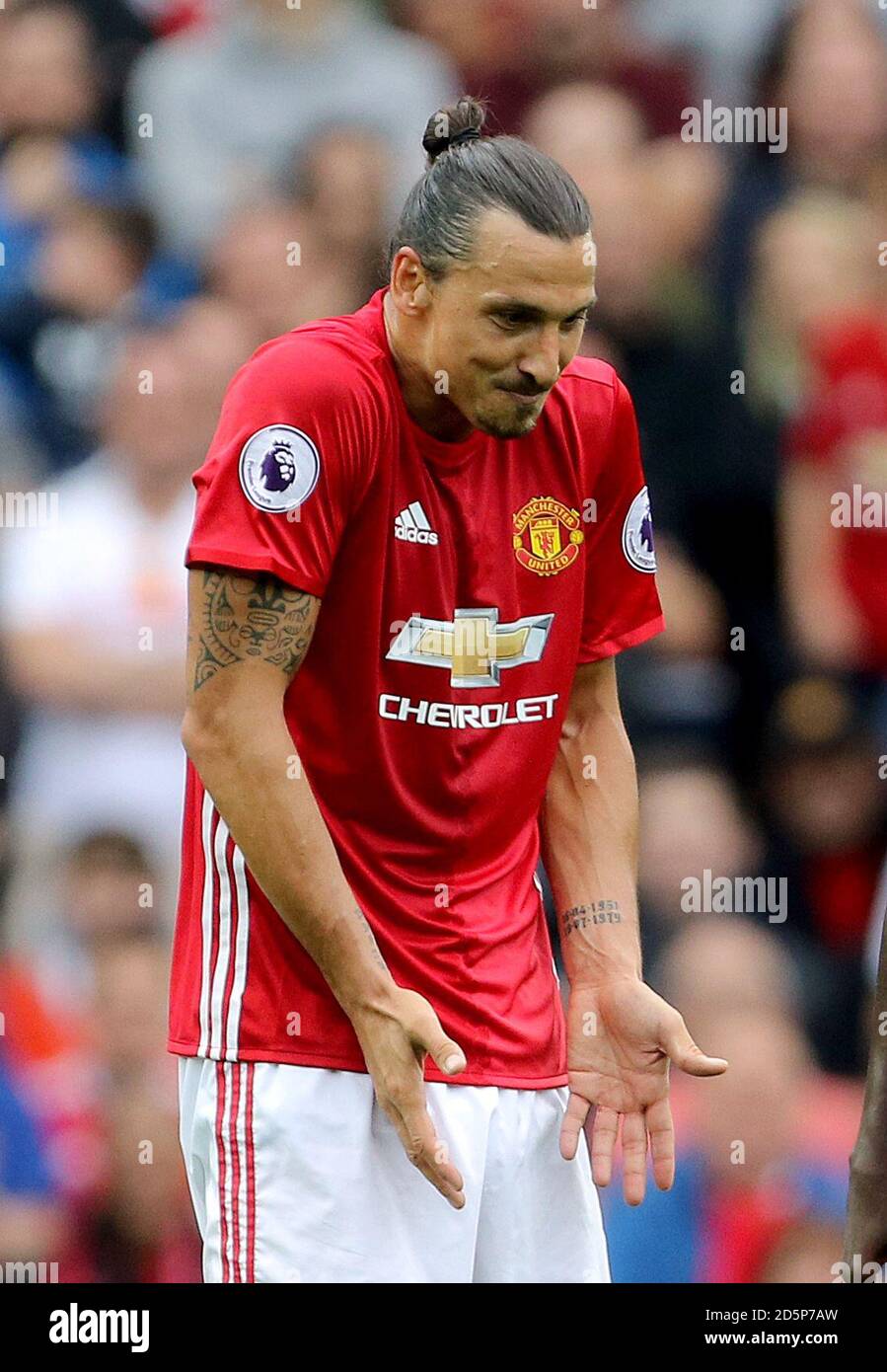 Manchester United's Zlatan Ibrahimovic Stock Photo - Alamy