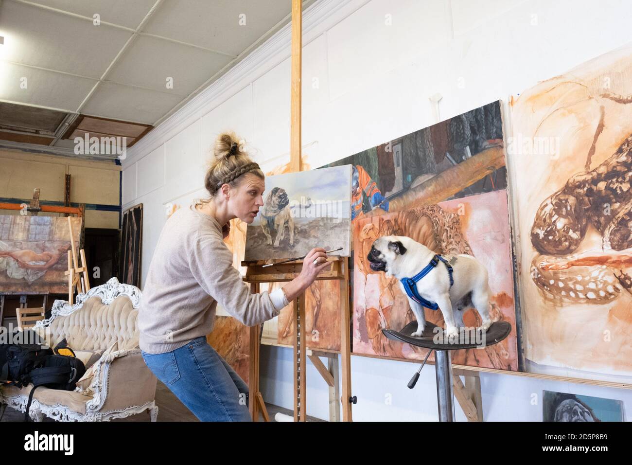 Newlyn, Cornwall, UK. 14th October 2020. National Pug Day on 15th ...