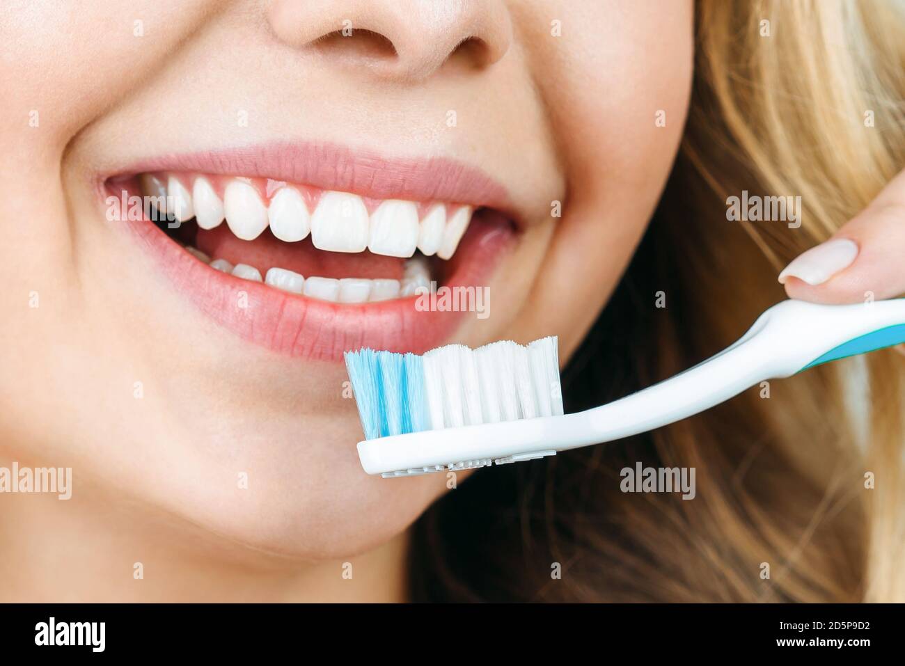 In its teeth hi-res stock photography and images - Alamy