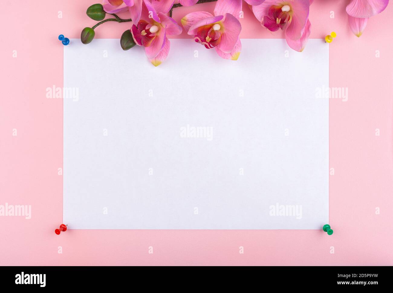 a white sheet is attached with push pins Stock Photo - Alamy