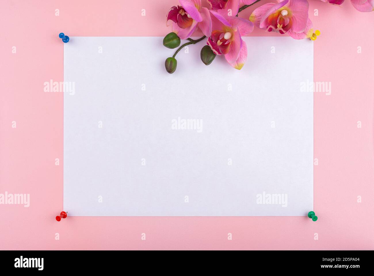 Attached Sheet High Resolution Stock Photography and Images - Alamy