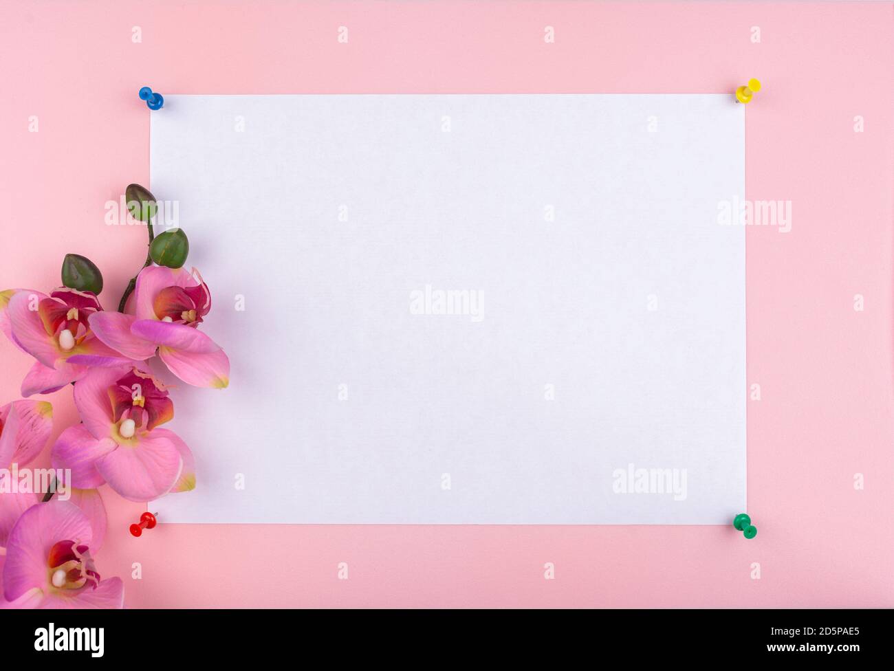 Attached sheet hi-res stock photography and images - Alamy
