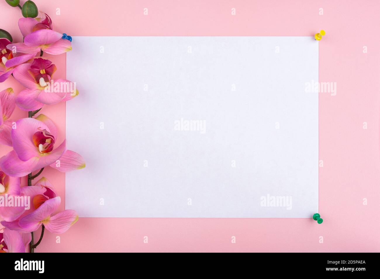 Attached sheet hi-res stock photography and images - Alamy