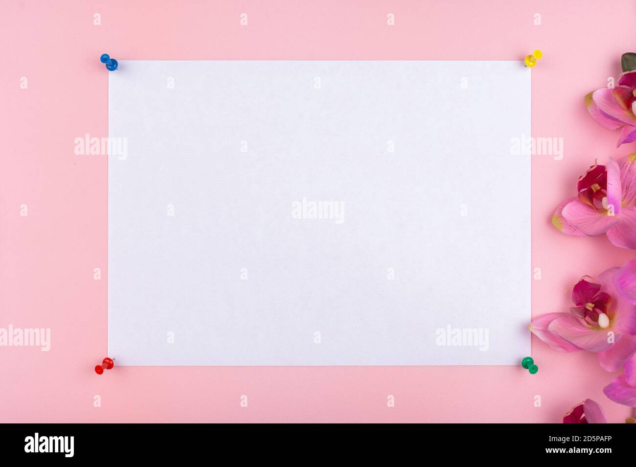 Sheet paper push pins hi-res stock photography and images - Alamy