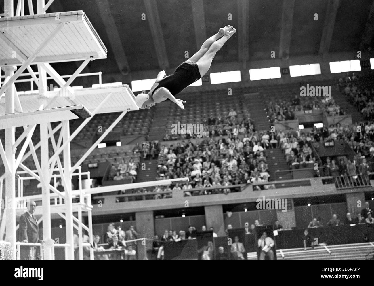 Springboard dive suit hi-res stock photography and images - Alamy