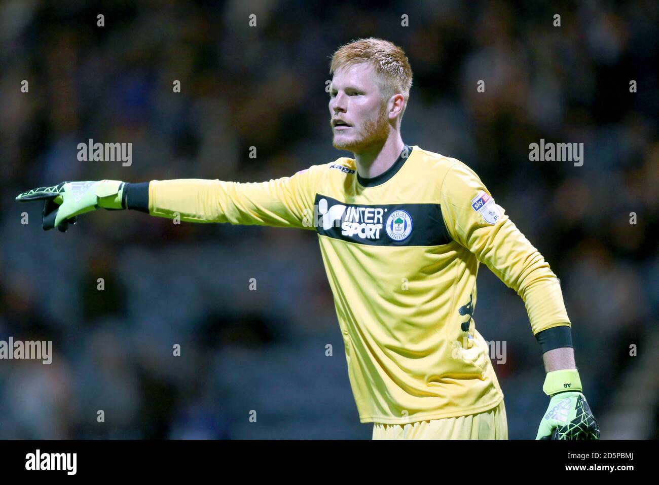 Goalkeeper Adam Bogdan, Wigan Athletic Stock Photo - Alamy