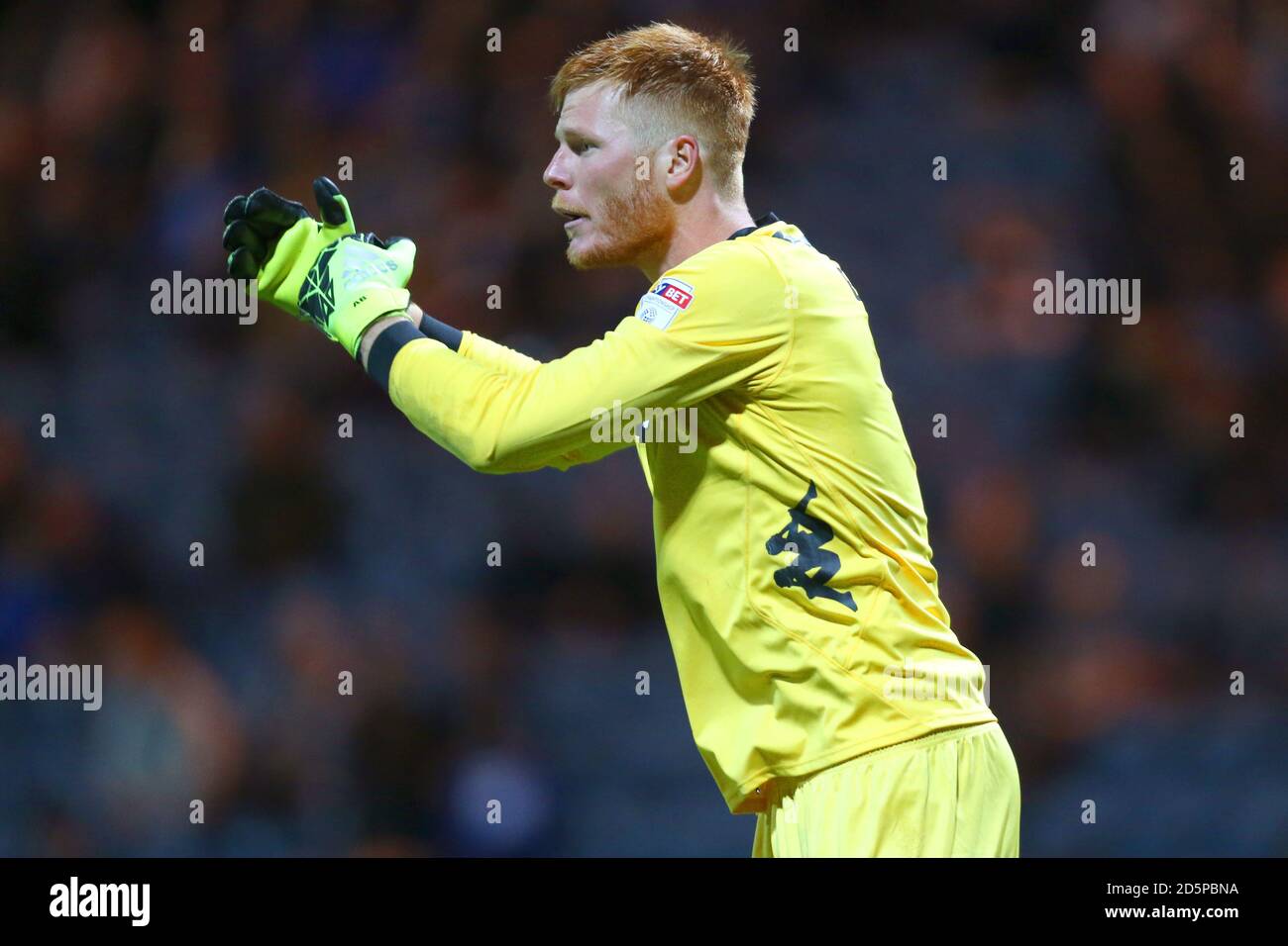 Goalkeeper Adam Bogdan, Wigan Athletic Stock Photo - Alamy