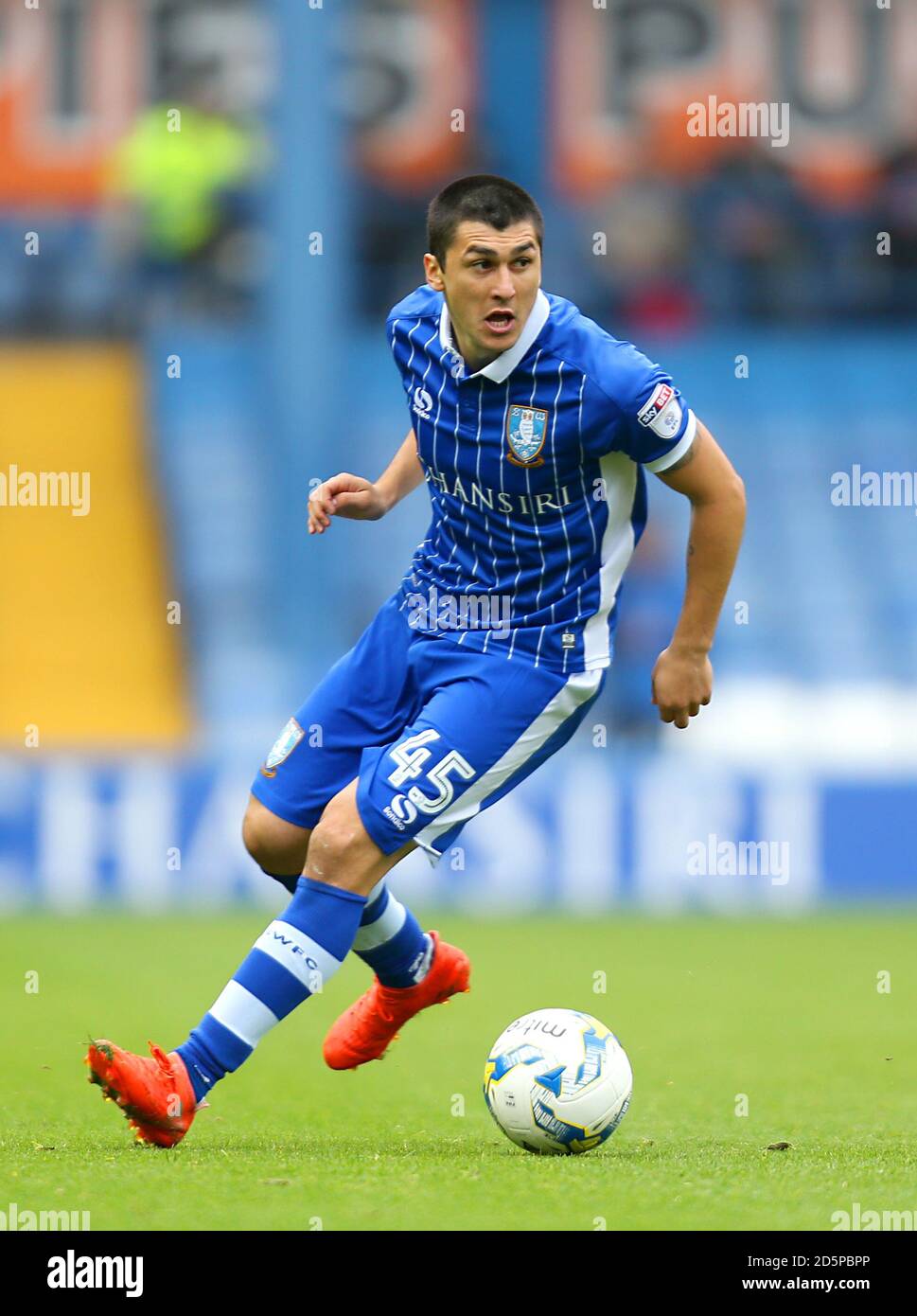 Fernando Forestieri, Sheffield Wednesday Stock Photo - Alamy