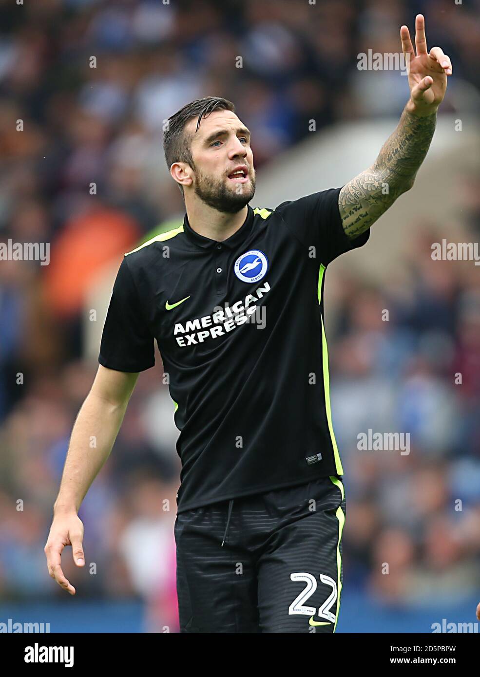 Shane duffy brighton hi-res stock photography and images - Alamy
