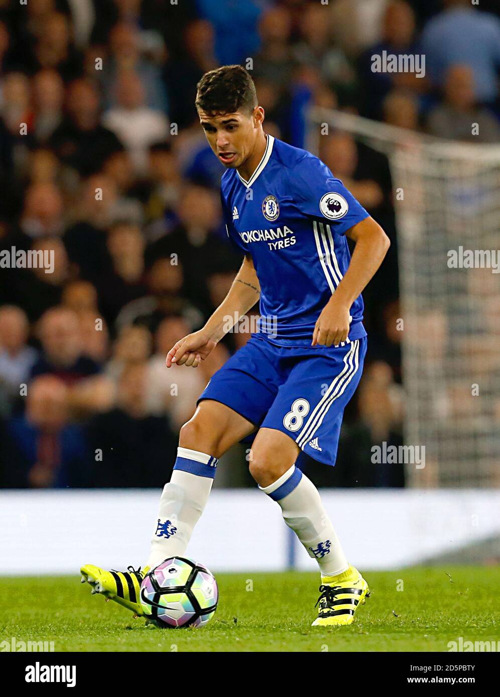 Oscar, Chelsea Stock Photo - Alamy