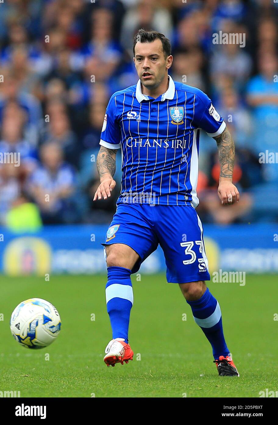 Ross Wallace, Sheffield Wednesday Stock Photo - Alamy