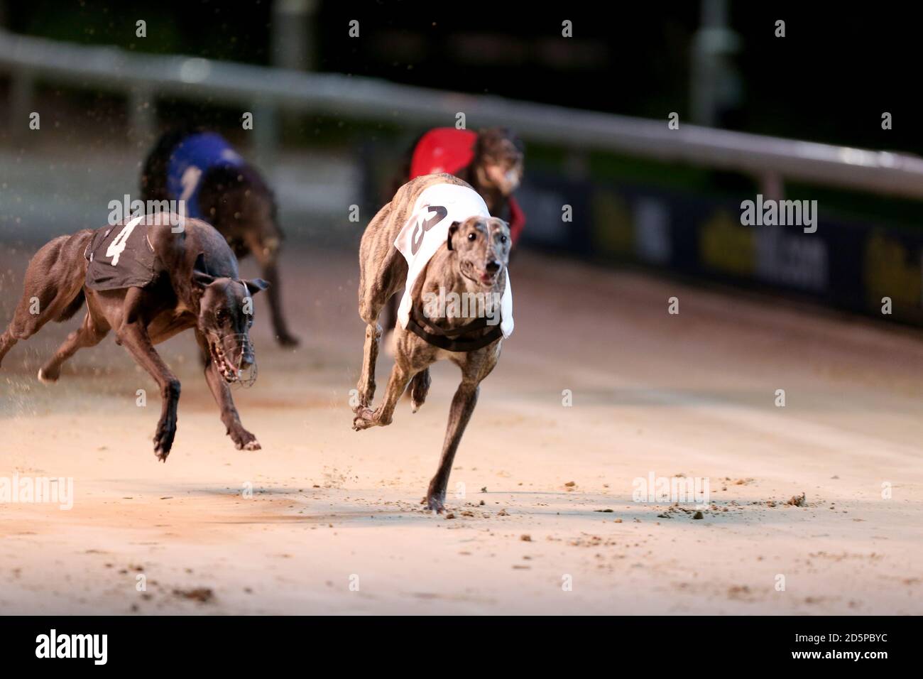 William Hill Download The App 670 winner Lowgate Dolores (right) and ...